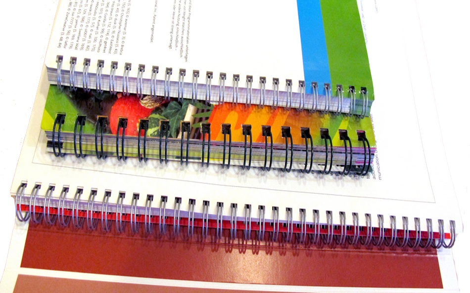 Home - Diverse Imaging